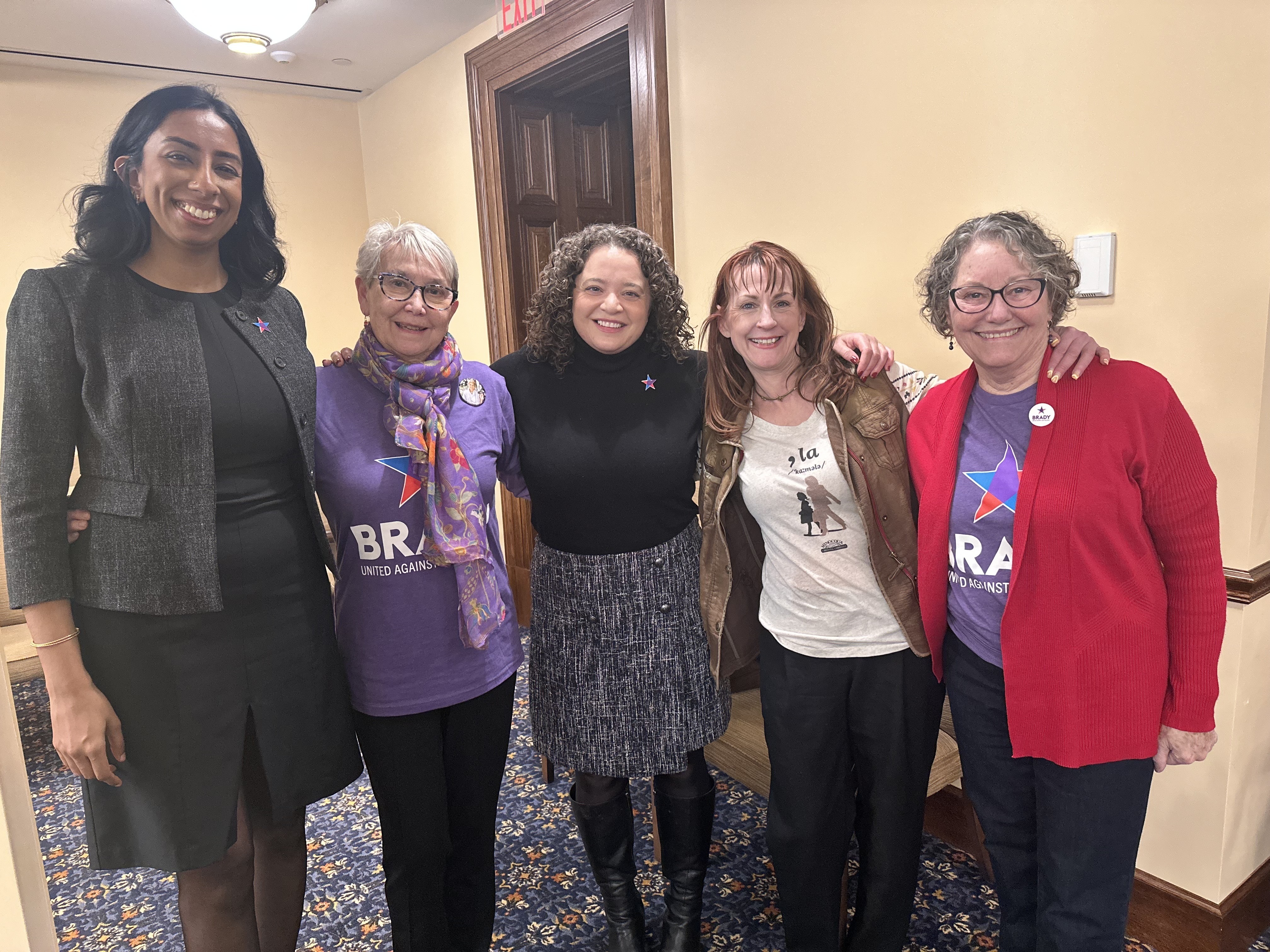 Extreme Risk Laws | Brady