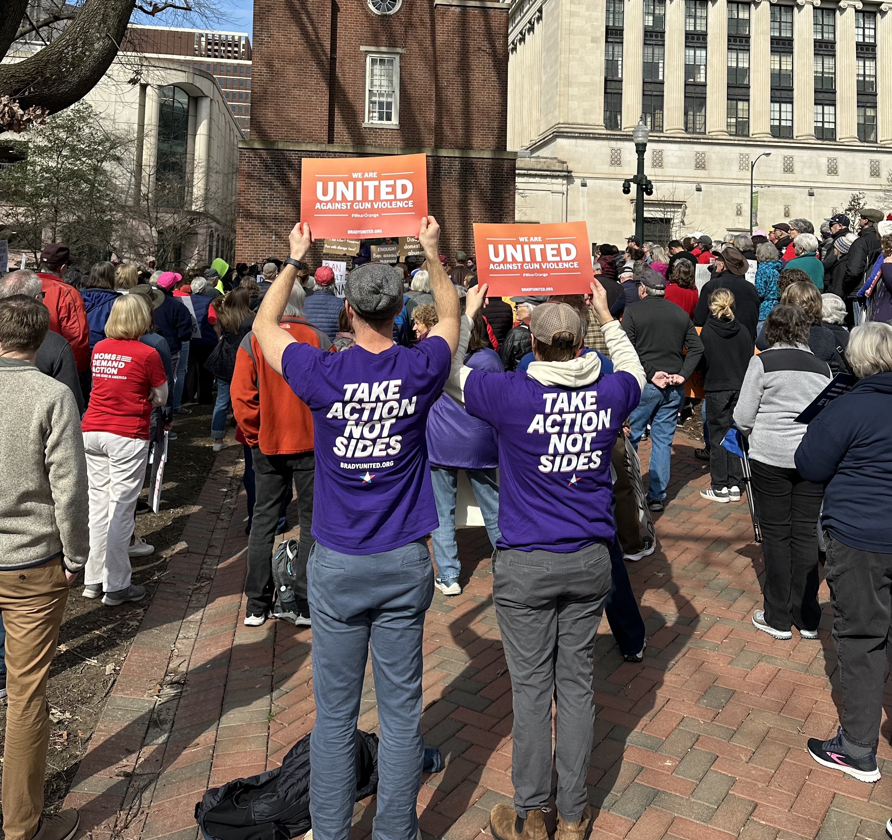 Extreme Risk Laws | Brady